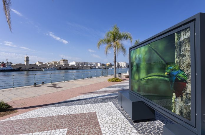 Colores del Mundo:42 fotografías para descubrir el color del mundo